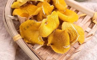 榆黄蘑菇怎么种_榆黄蘑菇营养价值