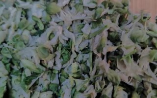 槐花饺子怎么调馅好吃_槐花饺子要不要焯水