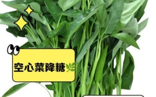 空心菜吃多了有什么坏处_空心菜草酸含量高吗