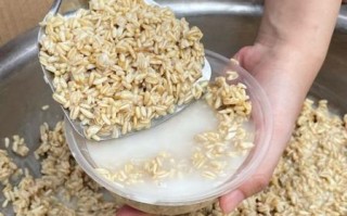 甜醅的做法_甜醅怎么做才好吃