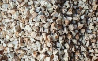 茯苓长什么样_茯苓图片大全