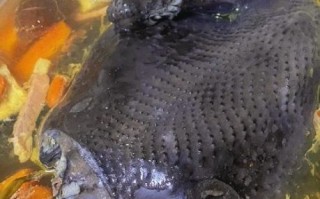 红烧乌鸡怎么做好吃_红烧乌鸡最正宗的做法