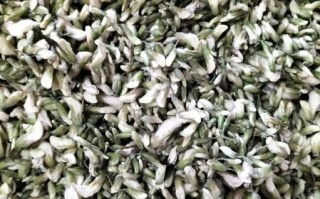 槐树花包子怎么做_槐树花包子馅怎么调