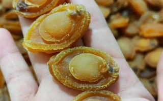 鲍鱼干多少钱一斤_鲍鱼干价格受哪些因素影响
