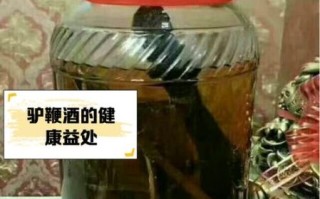 驴鞭怎么泡酒_驴鞭炖汤做法