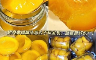 黄桃罐头怎么做_黄桃罐头家常做法窍门