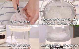 燕窝怎么炖_燕窝的做法和配方大全