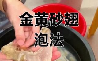 鱼翅怎么泡发_家常鱼翅做法