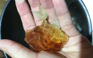 桃胶的做法_桃胶怎么泡发