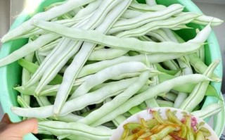 云豆角的功效与作用_云豆角怎么吃最营养