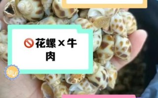 花螺哪些部位不能吃_花螺内脏图解