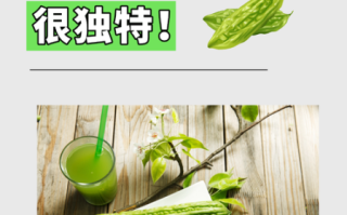 苦瓜的功效与作用_苦瓜怎么吃最好
