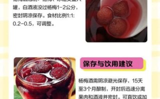 杨梅酒怎么酿_杨梅酒酿制比例是多少