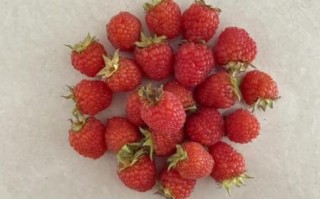 树莓和覆盆子是一个东西吗_区别与营养价值