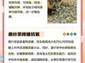 喝了一年桑叶茶糖尿病_血糖真的降了吗