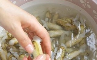 蛏子干怎样去除内脏图解_蛏子干内脏清理步骤