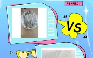 淡水针嘴鱼怎么养_淡水针嘴鱼能长多大