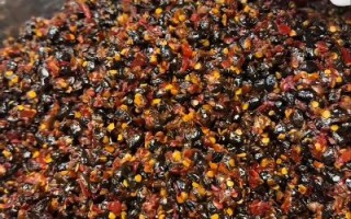 豆豉怎么做好吃_豆豉炒什么最香