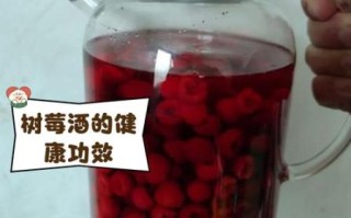 树莓酒的功效与作用_树莓酒能减肥吗