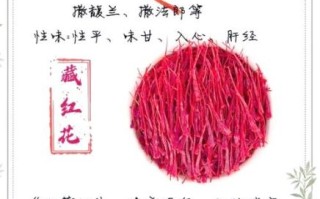 藏红花有什么功效与作用_藏红花正确吃法