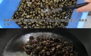炒田螺用什么调料_炒田螺调料配方