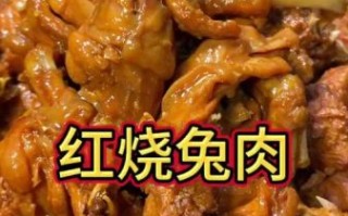 兔子肉怎么做好吃_兔子肉的家常做法