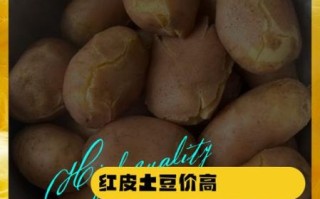 红皮土豆的危害_红皮土豆真的有毒吗