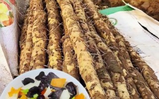 铁棍山药怎么吃最补肾_铁棍山药补肾食谱推荐