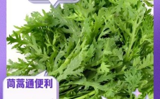 茼蒿致癌是真的吗_茼蒿功效与作用禁忌