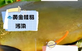 冷水黄金桂鱼的营养价值_冷水黄金桂鱼适合什么人吃 冷水黄金桂鱼的营养价值_冷水黄金桂鱼适合什么人吃