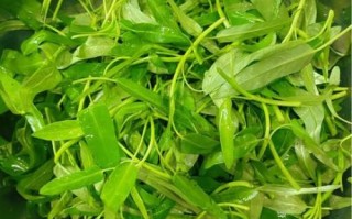 虾酱炒空心菜怎么做_虾酱炒空心菜的家常做法