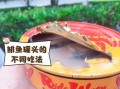鲱鱼罐头app怎么用_鲱鱼罐头app安全吗