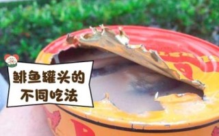 鲱鱼罐头app怎么用_鲱鱼罐头app安全吗