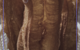 油条怎么做好吃又简单_家庭版油条做法