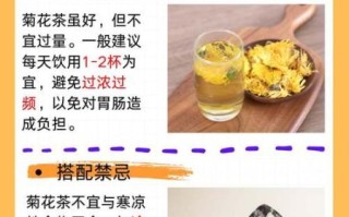 菊花茶的功效与作用_菊花茶有哪些禁忌