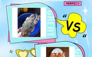 三点蟹和梭子蟹的区别_怎么挑选