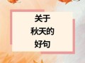 秋天的句子短句唯美_如何写出诗意秋意