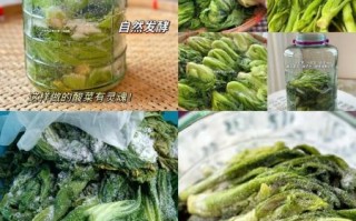 腌制咸菜的做法大全_怎么腌咸菜又脆又入味
