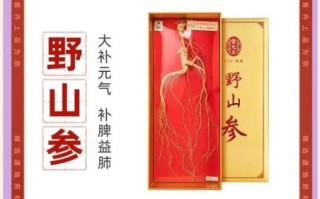野山参的功效与作用_野山参怎么吃效果最好