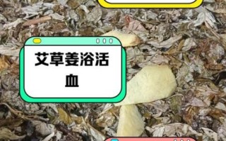 艾草泡澡的功效与作用_艾草泡澡能天天泡吗