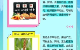 粟米是什么意思_粟米和玉米的区别