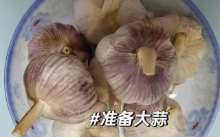 腊八蒜怎么腌制才绿_腊八蒜用米醋还是陈醋