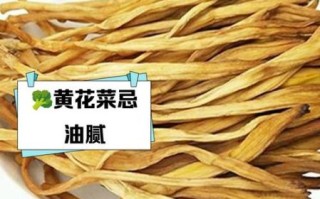 黄花菜不能和什么一起吃_黄花菜相克食物有哪些