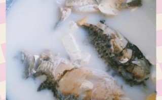 鲫鱼怎么做好吃_家庭版鲫鱼汤做法