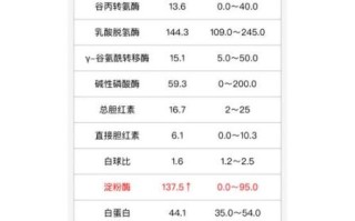 淀粉酶正常值是多少_淀粉酶偏高怎么办