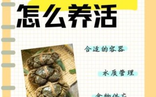 直接用自来水养螃蟹会死吗_自来水养螃蟹正确方法