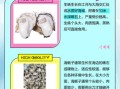 生蚝和海蛎子是一个东西吗_区别与选购指南