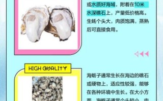 生蚝和海蛎子是一个东西吗_区别与选购指南