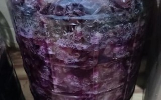 自制葡萄酒的做法_自酿葡萄酒的方法