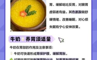 酒后吃什么养胃又补胃_酒后第二天吃什么最养胃